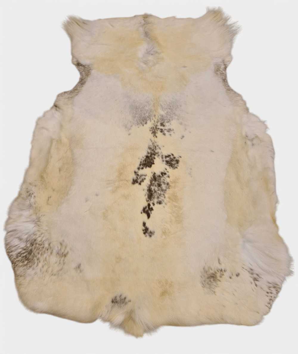 Extra Large Reindeer Hide| Reindeer Skin Rug | Large Pale Reindeer Rug